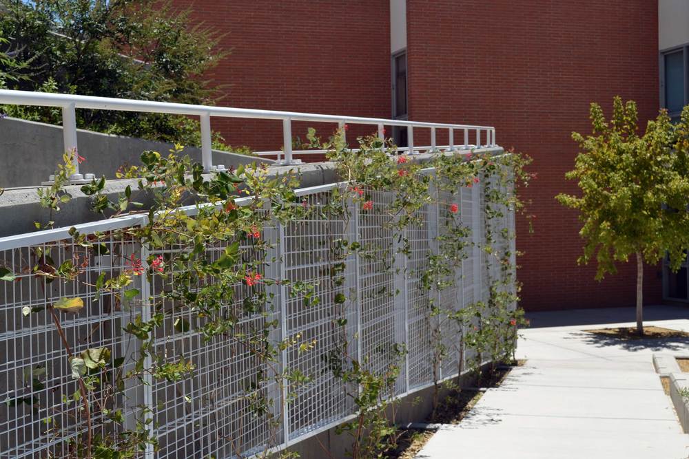 CNM "A" Building Courtyard Renovation